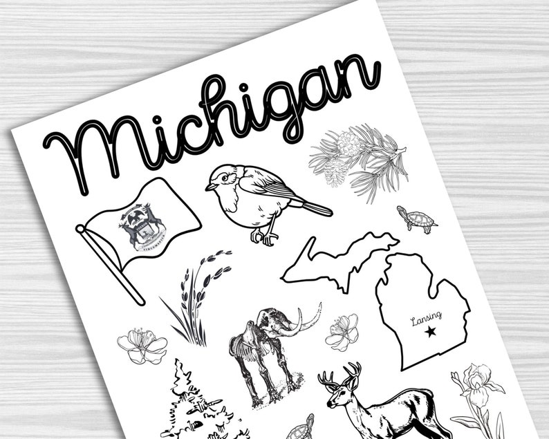 Michigan Activity Pack: State Symbols, Trivia, Word Search (PDF) - Etsy