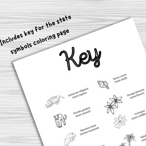 Florida Activity Worksheets: State Symbols, Trivia, Word Search (PDF ...