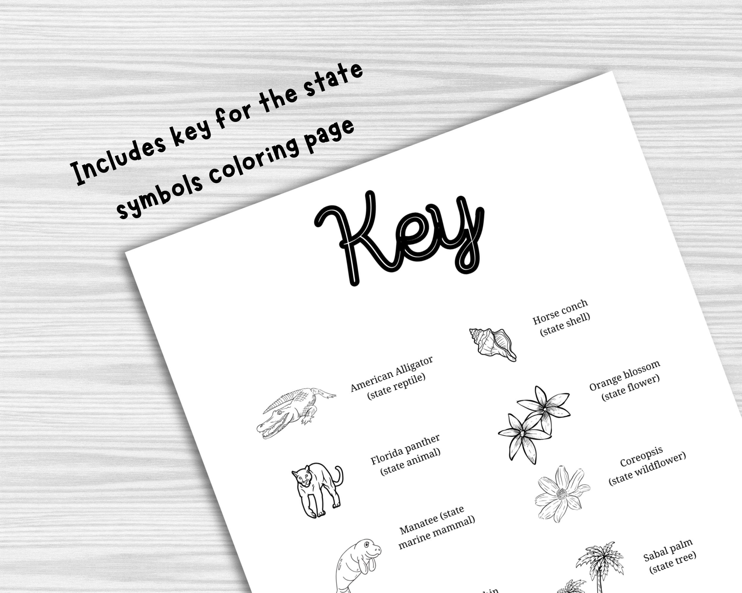 Set of 5 Florida Worksheets, State of Florida Printable, Word Search ...