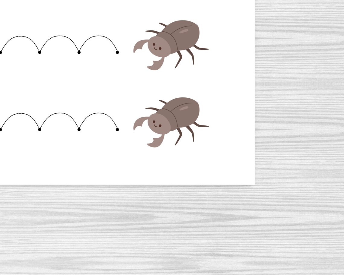 Insect Tracing Pages, Insect Printable, Tracing Practice, Tracing for ...