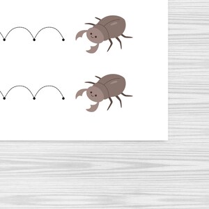 Insect Tracing Pages, Insect Printable, Tracing Practice, Tracing for ...