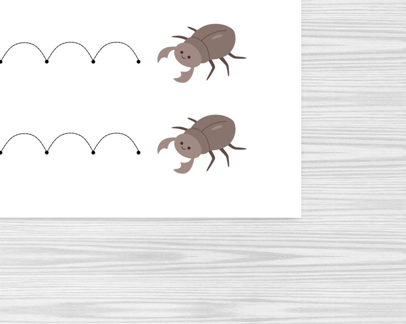 Insect Tracing Pages, Insect Printable, Tracing Practice, Tracing for ...