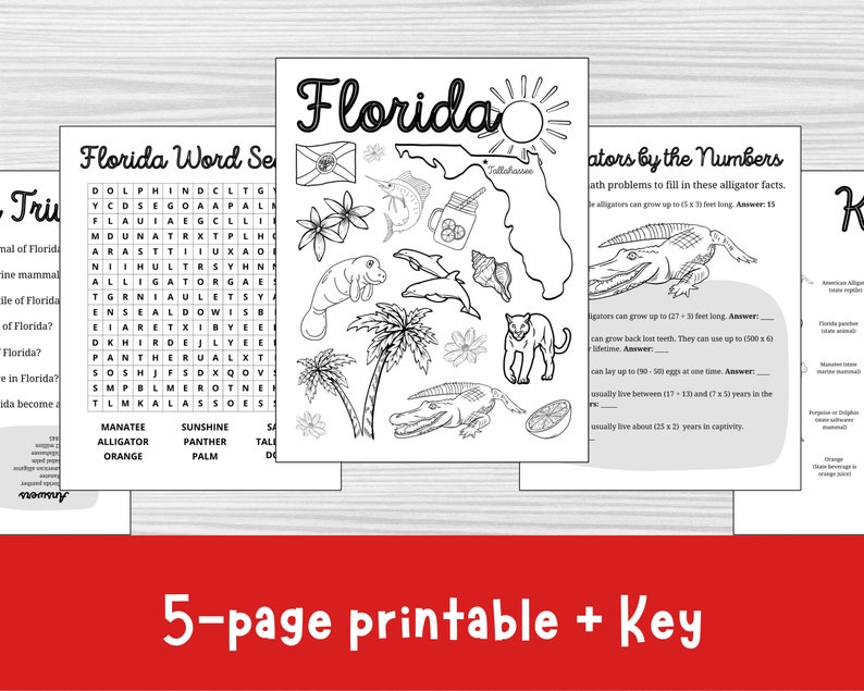 Set of 5 Florida Worksheets, State of Florida Printable, Word Search ...