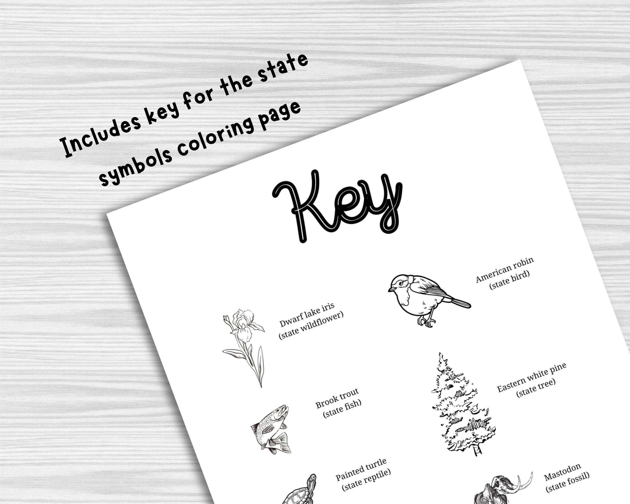Michigan Activity Pack: State Symbols, Trivia, Word Search (PDF) - Etsy