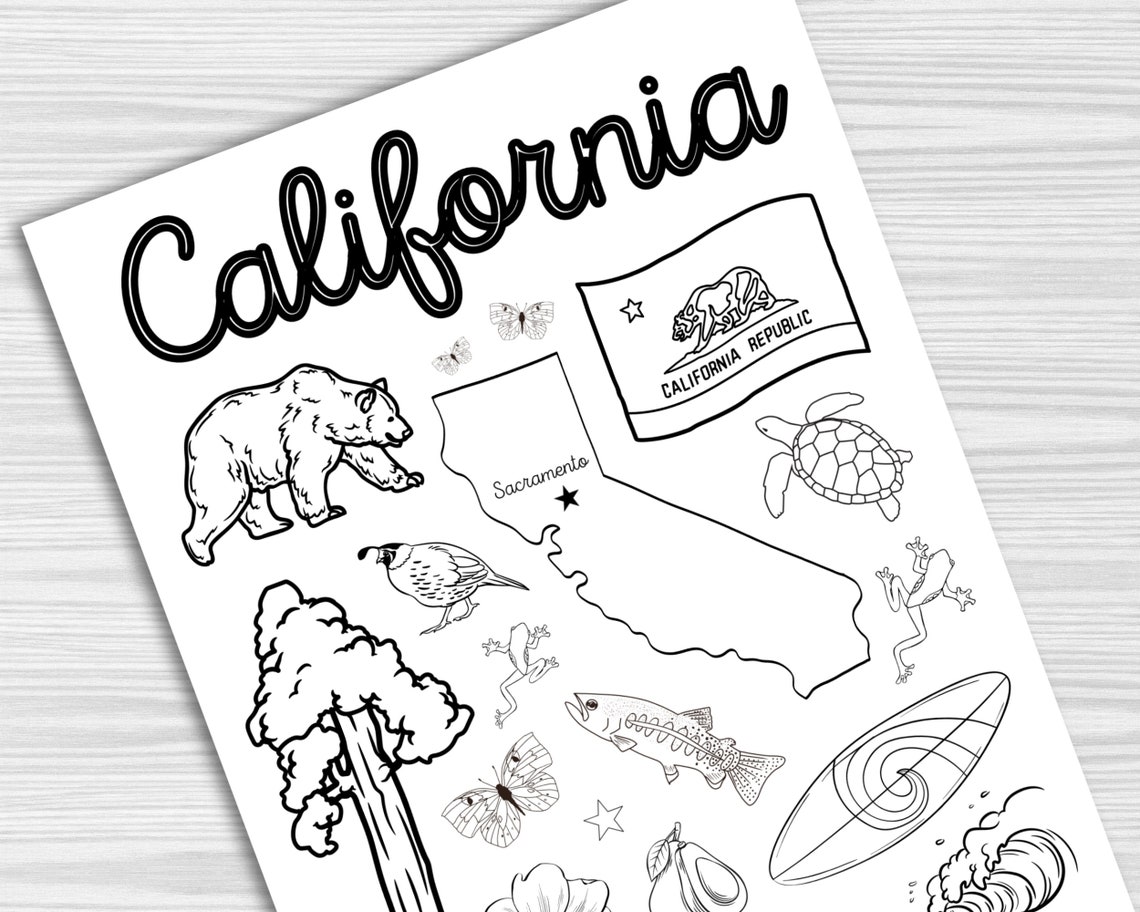 California Activity Pack: State Symbols, Trivia, and Word Search ...