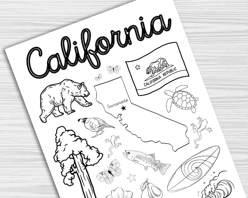 Set of 5 California Worksheets, State of California Printable, Word ...