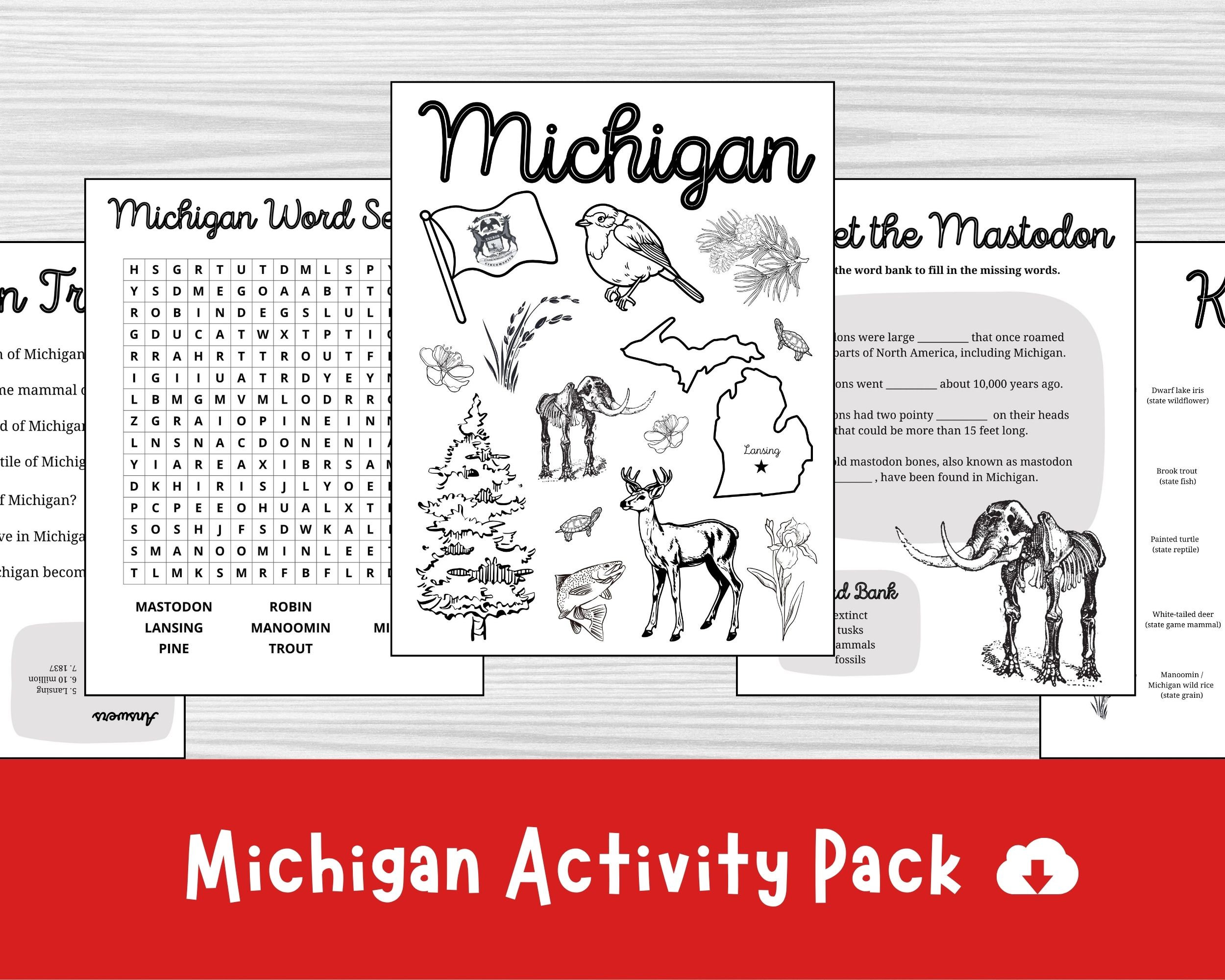 Michigan Activity Pack: State Symbols, Trivia, Word Search (PDF) - Etsy