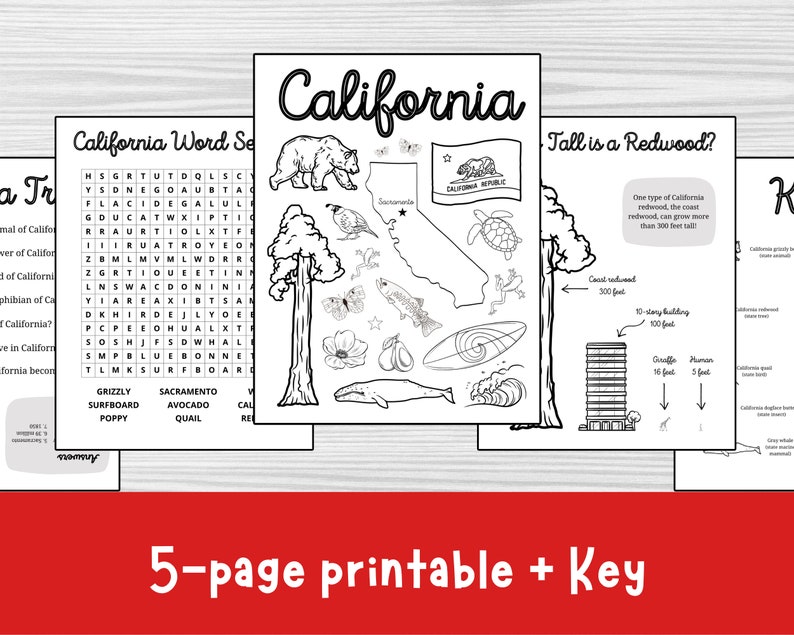 California Activity Pack: State Symbols, Trivia, and Word Search ...