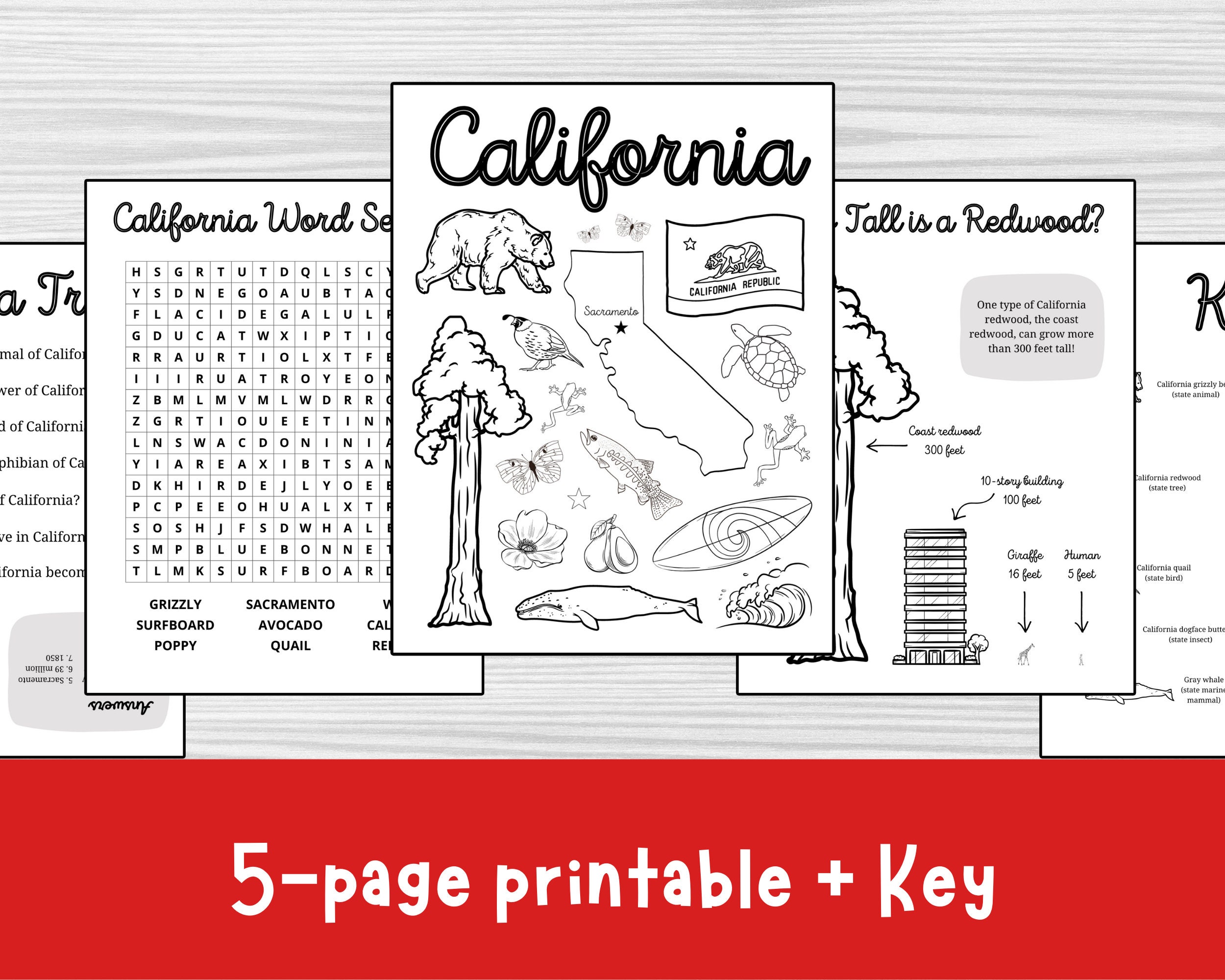 Set of 5 California Worksheets, State of California Printable, Word ...