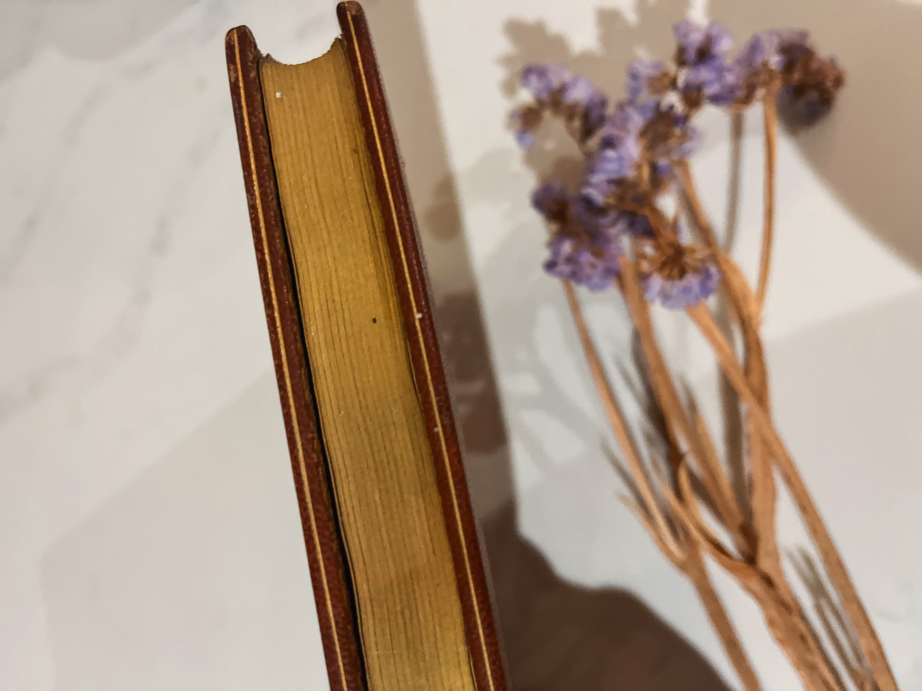 Vintage Hunting Journal, Vintage Hunting, Vintage Journal, Country ...