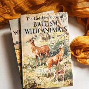 Vintage Lady Bird Books, Ladybird Nature Books, British Birds, Birds ...