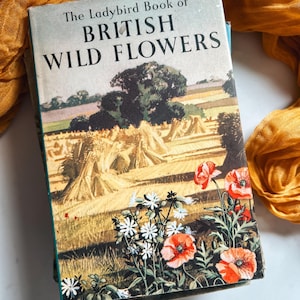 Vintage Lady Bird Books, Ladybird Nature Books, British Birds, Birds ...