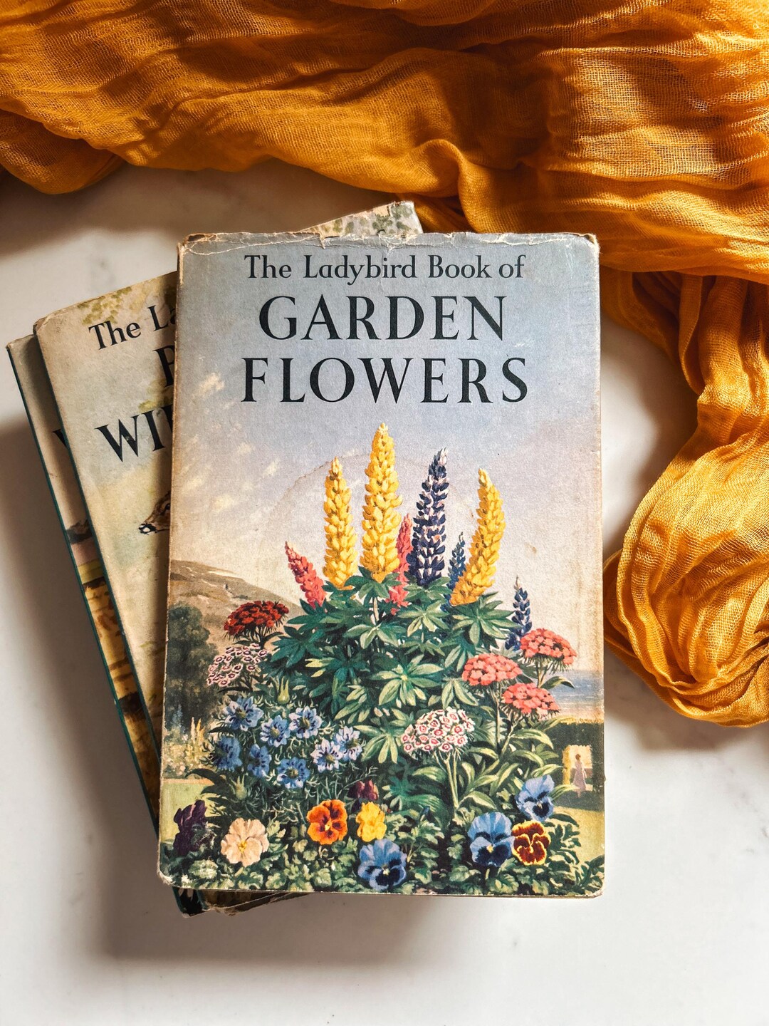 Vintage Lady Bird Books, Ladybird Nature Books, British Birds, Birds ...