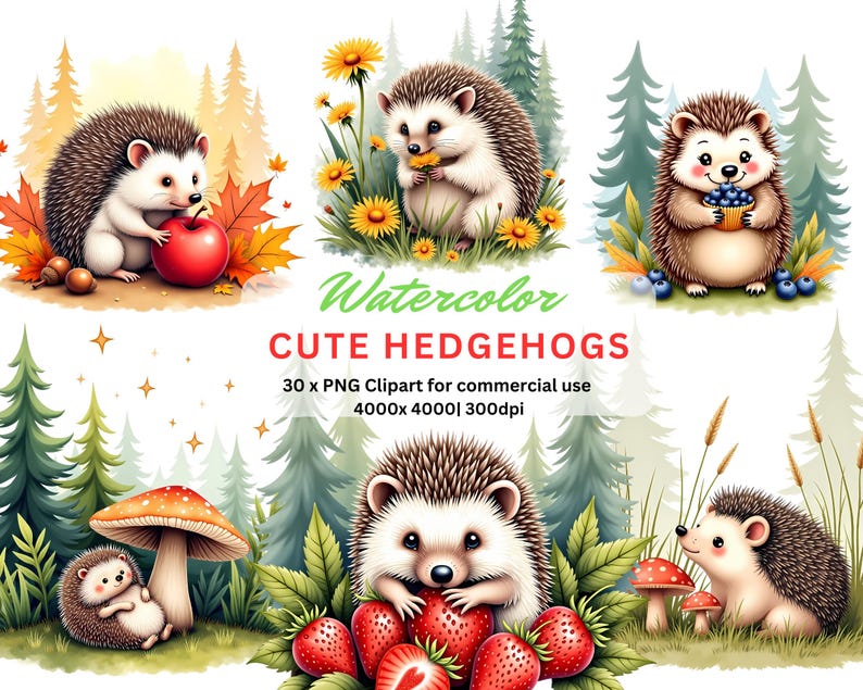 Watercolor Hedgehog Clipart PNG Bundle | Cute Seasonal Woodland Animals ...