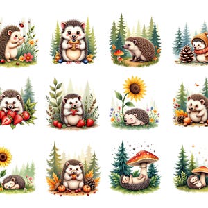 Watercolor Hedgehog Clipart PNG Bundle | Cute Seasonal Woodland Animals ...