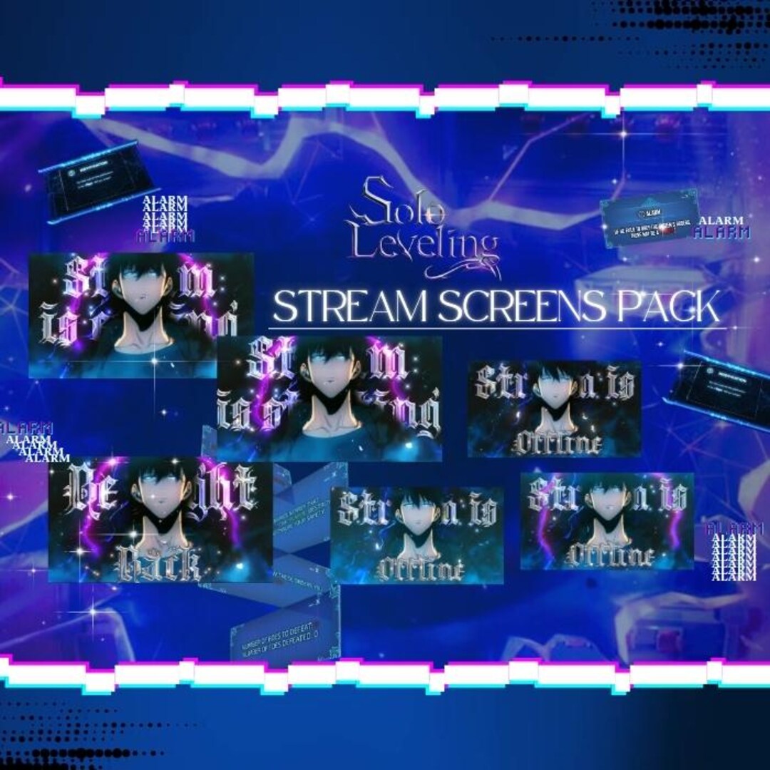 Solo Leveling Animated Stream Screens Pack (digital Download) - Etsy