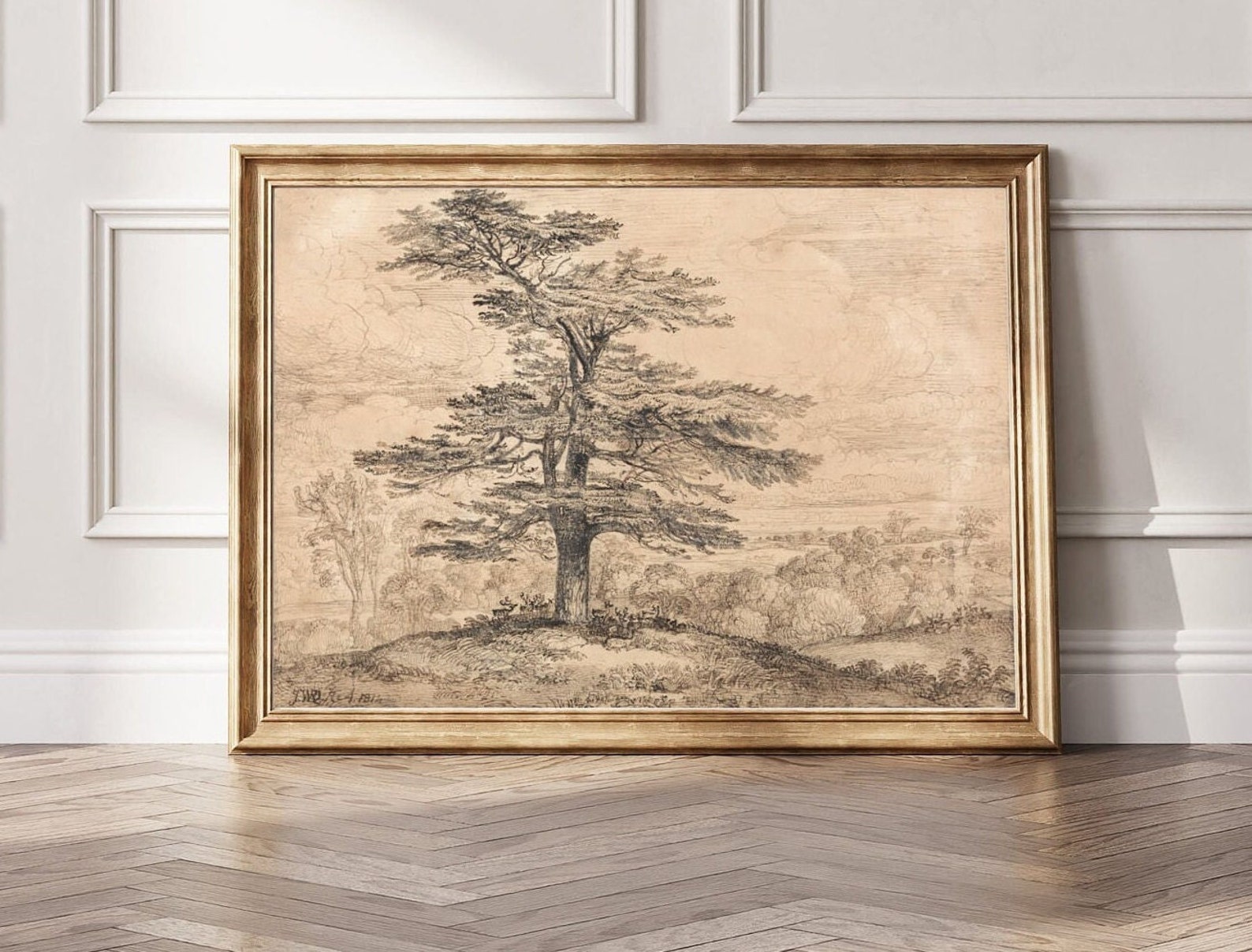 Vintage Cedar Tree Study | Neutral Tone Drawing | European Fine Art ...