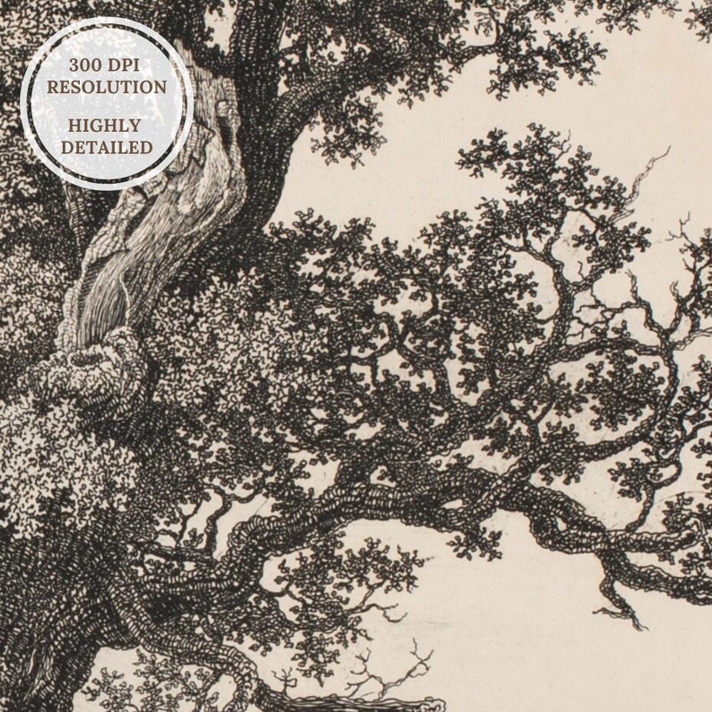 Vintage Oak Tree Study, Botanical Drawing, Neutral Tone Print ...