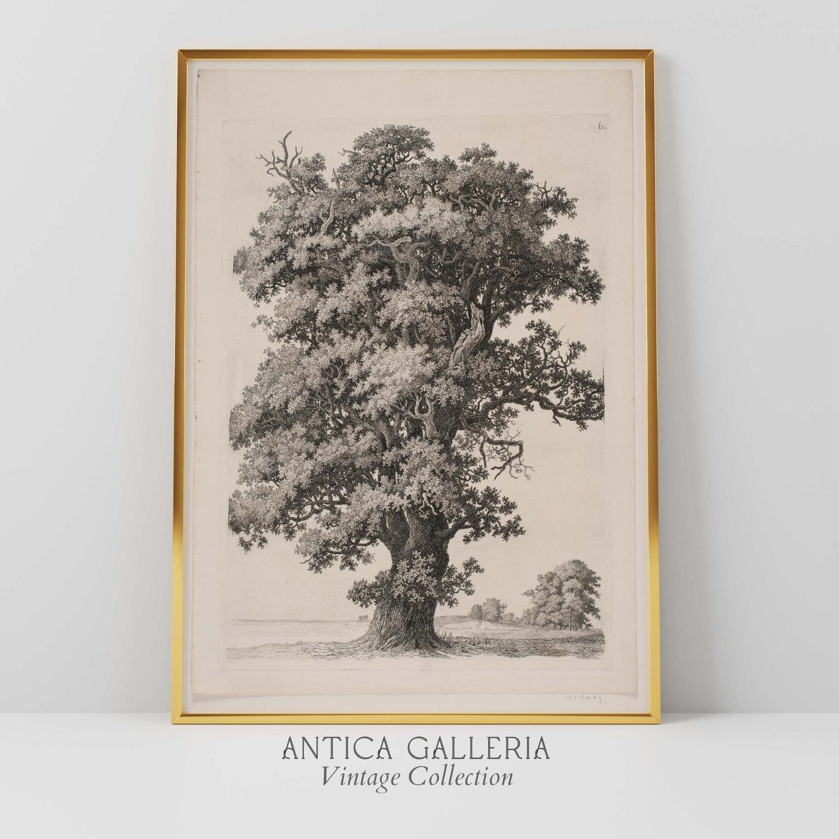 Vintage Oak Tree Study, Botanical Drawing, Neutral Tone Print ...