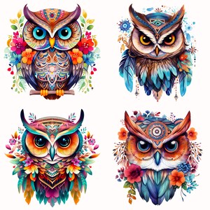 Cute Boho Owl Clip Art, Watercolor Owls and Flowers Illustration PNG ...