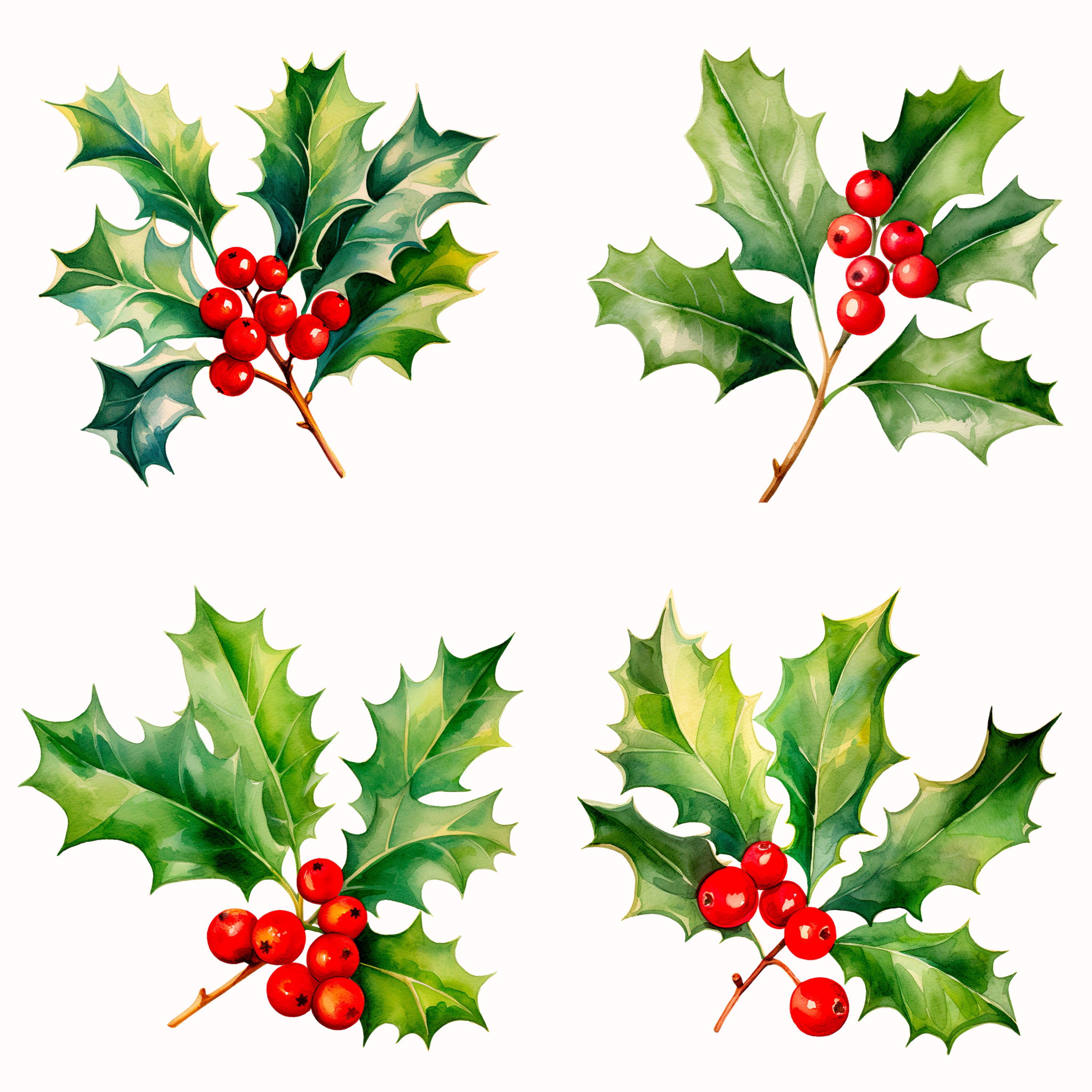 Christmas Holly Decor Clip Art ,watercolor Christmas Holly PNG ...