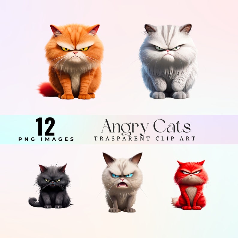 Cute Angry Cats Clip Art, Hilarious Crabby Cat Illustration PNG, Funny ...