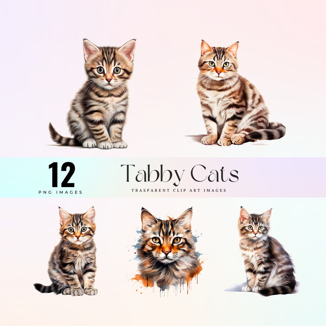 Cute Tabby Cat Clip Art, Kitten Illustration PNG (digital Download) - Etsy