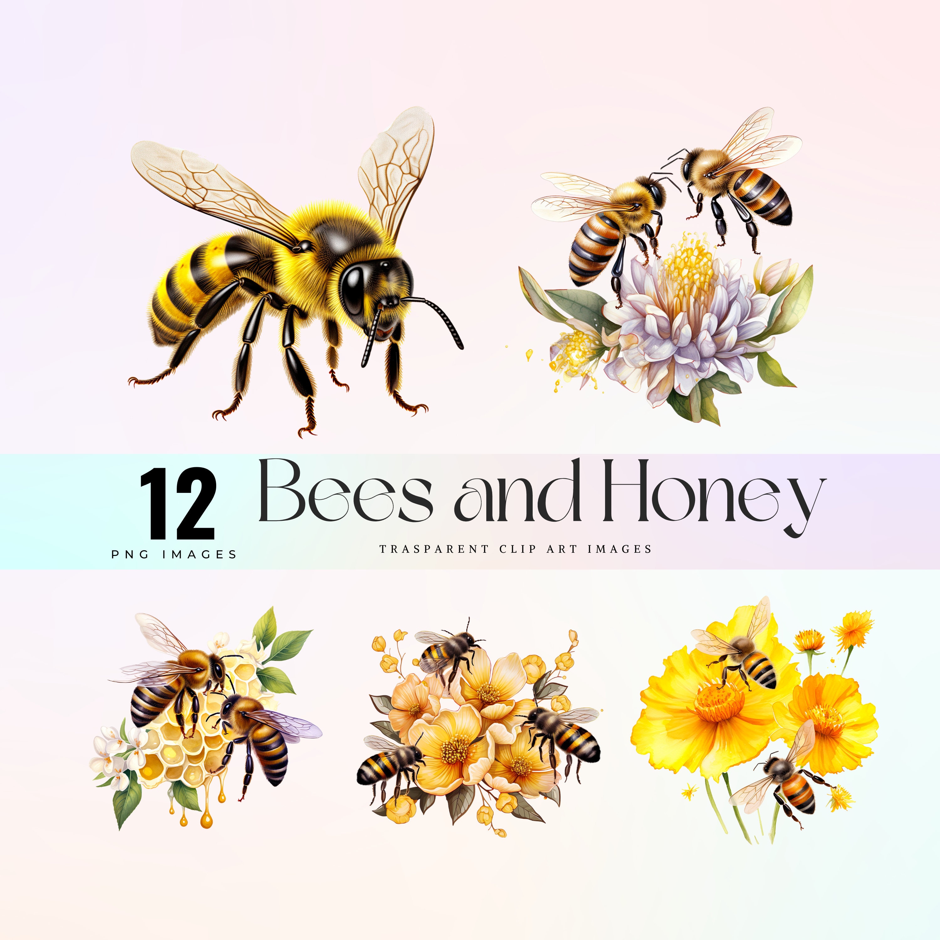 Sweet Honey Bees Clip Art, Watercolor Nectar Buzz Illustration PNG ...