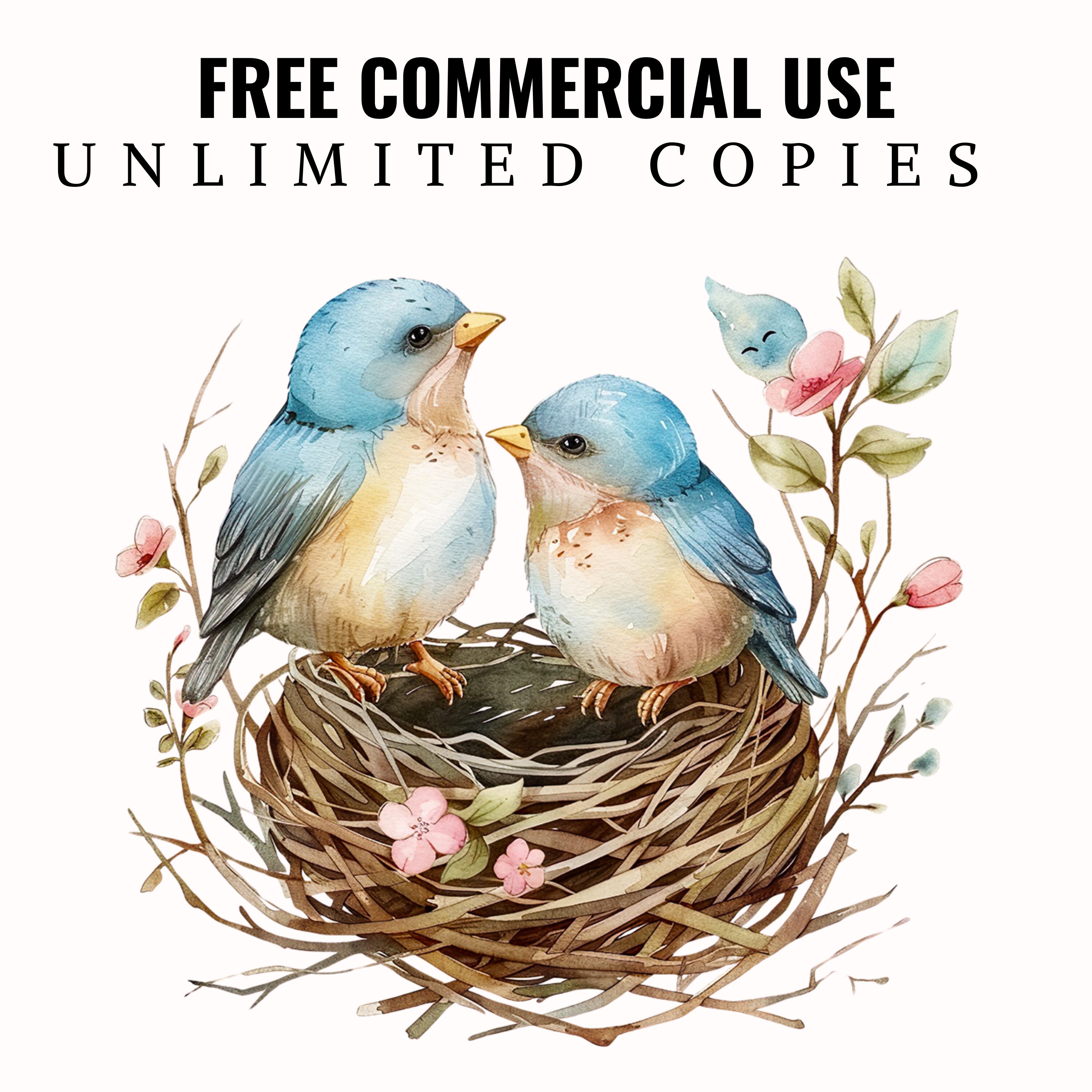 Cute Spring Nest Clip Art, Watercolor Adorable Bird Nest Illustration ...