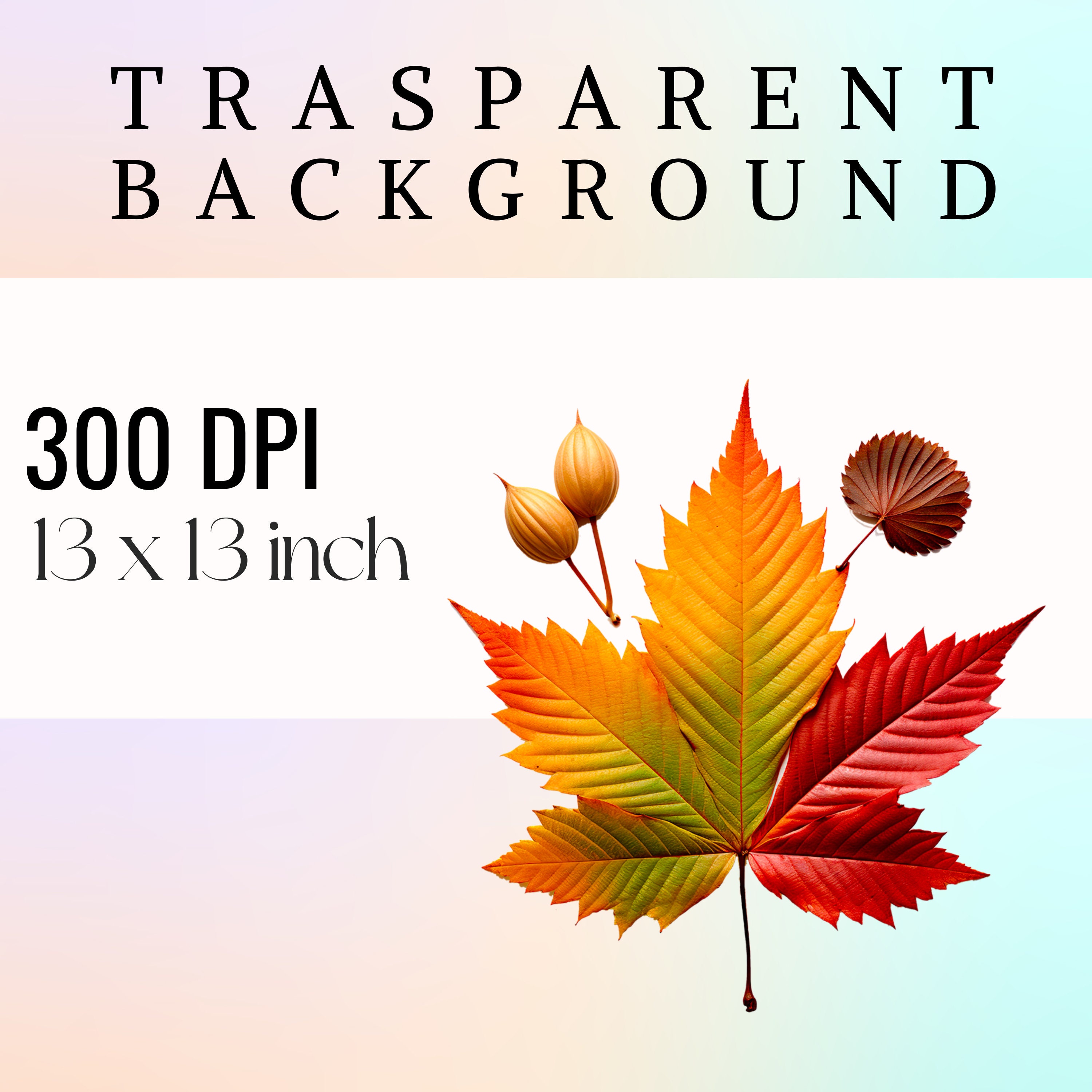 Cute Autumn Leaves Clip Art, Watercolor Orange Fall Illustration PNG ...