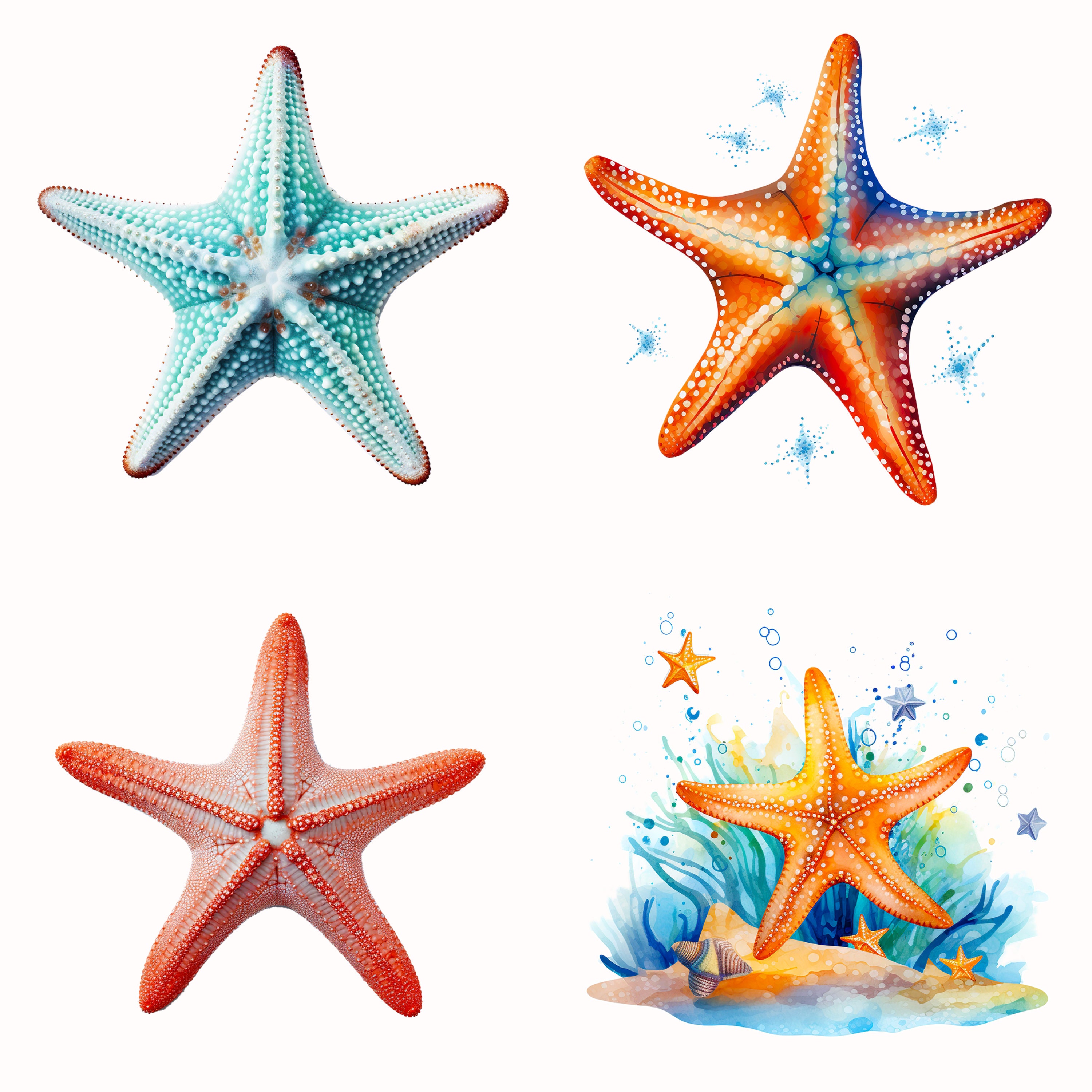 Cute Starfish Clip Art, Watercolor Bright Marine Stars Illustration PNG ...