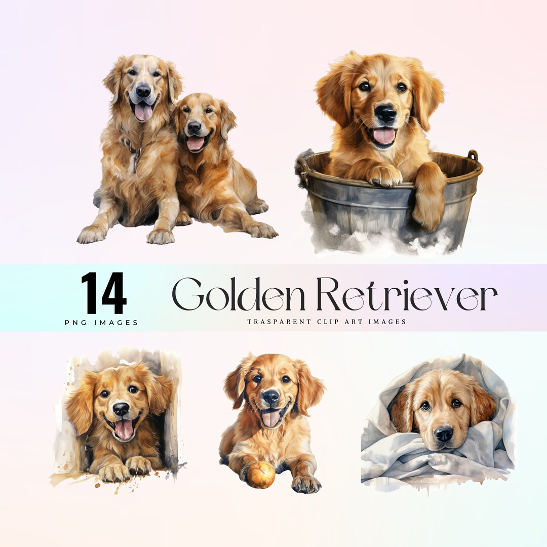 Watercolor Golden Retriever Clip Art: Dog PNG Bundle (digital Download ...