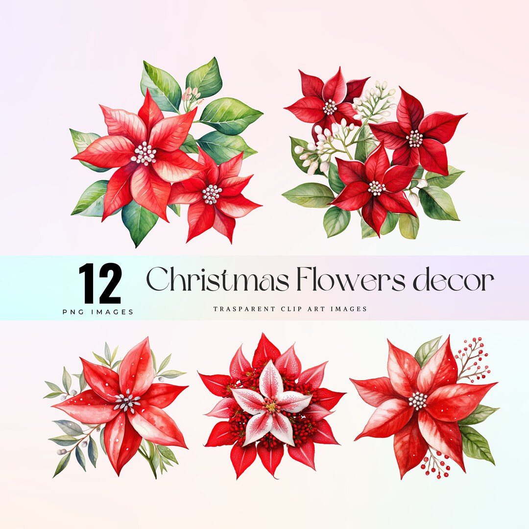 Christmas Flowers Decor Clip Art, Watercolor Christmas Poinsettia ...