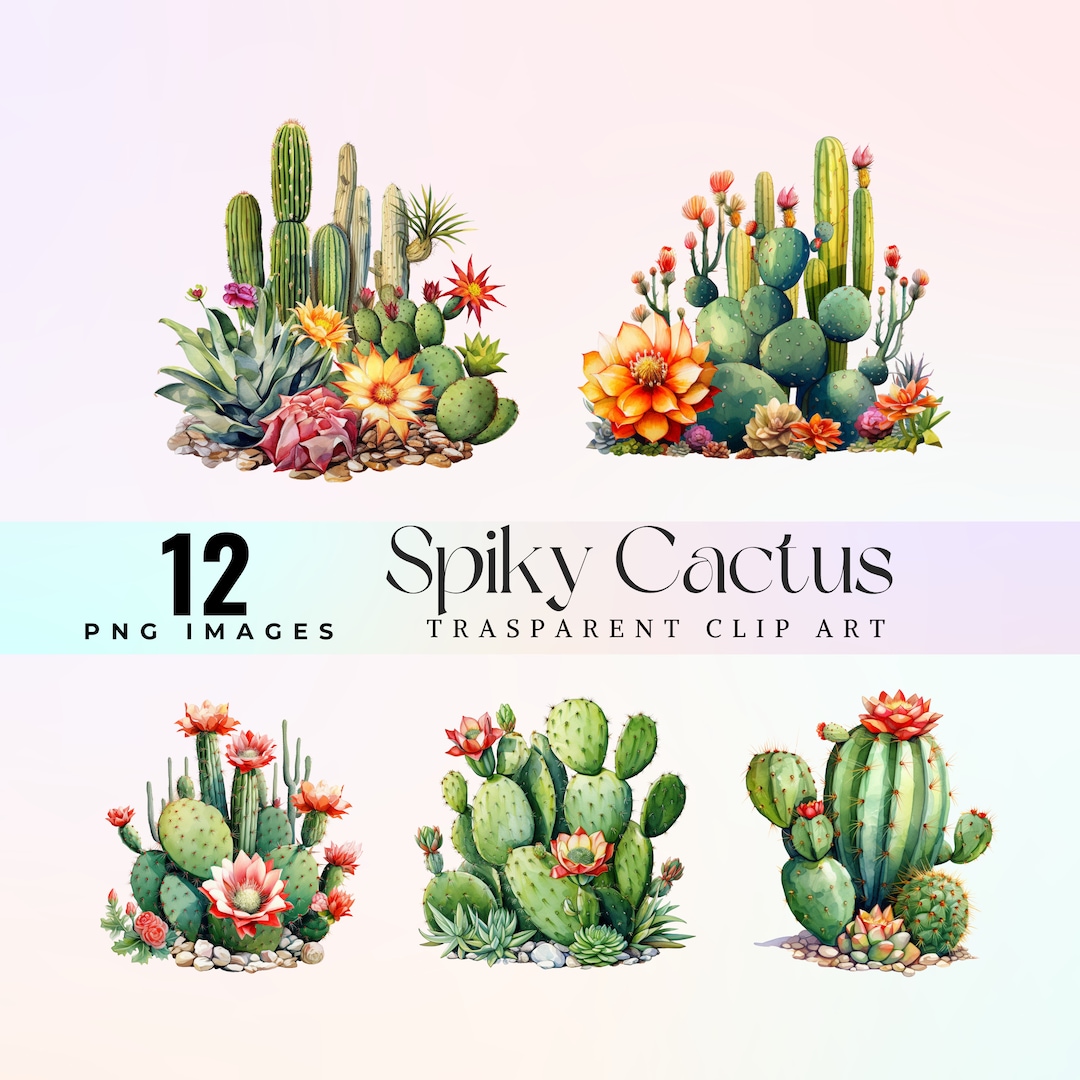 Watercolor Cactus Clip Art: Desert Plant PNG Graphics (300 DPI) - Etsy