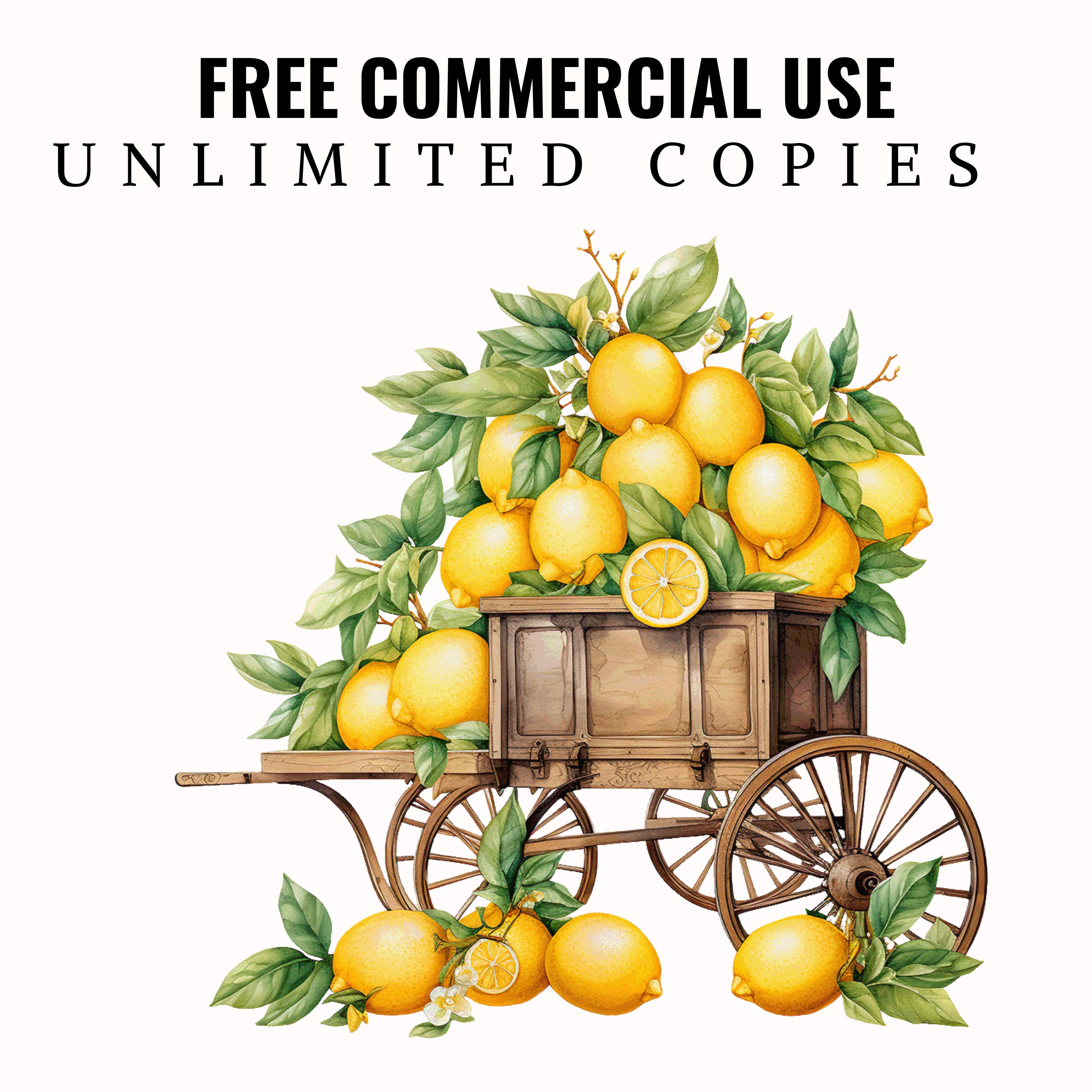 Lemon Cart Clip Art: Summer Citrus PNG Graphics (digital Download) - Etsy