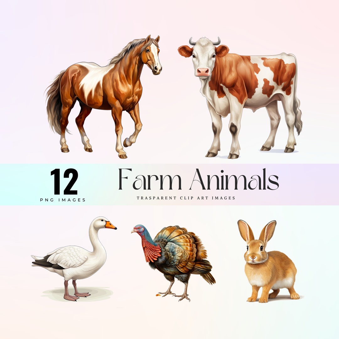 Farm Animals Clip Art, Barnyard PNG Graphics (digital Download) - Etsy UK