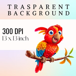 Funny Parrot Clip Art: Watercolor Cartoon PNG (300 DPI) - Etsy