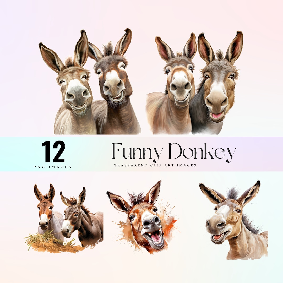 Funny Donkey Clip Art, Watercolor Humor Mule Illustration PNG, Happy ...