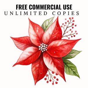 Christmas Flowers Decor Clip Art, Watercolor Christmas Poinsettia ...