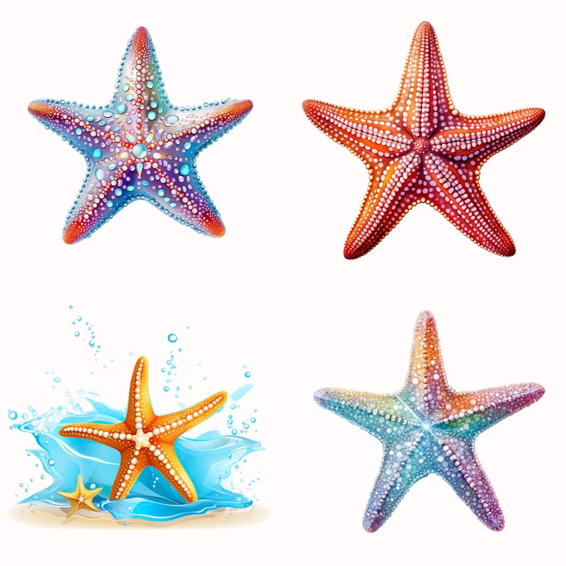 Cute Starfish Clip Art, Watercolor Bright Marine Stars Illustration PNG ...