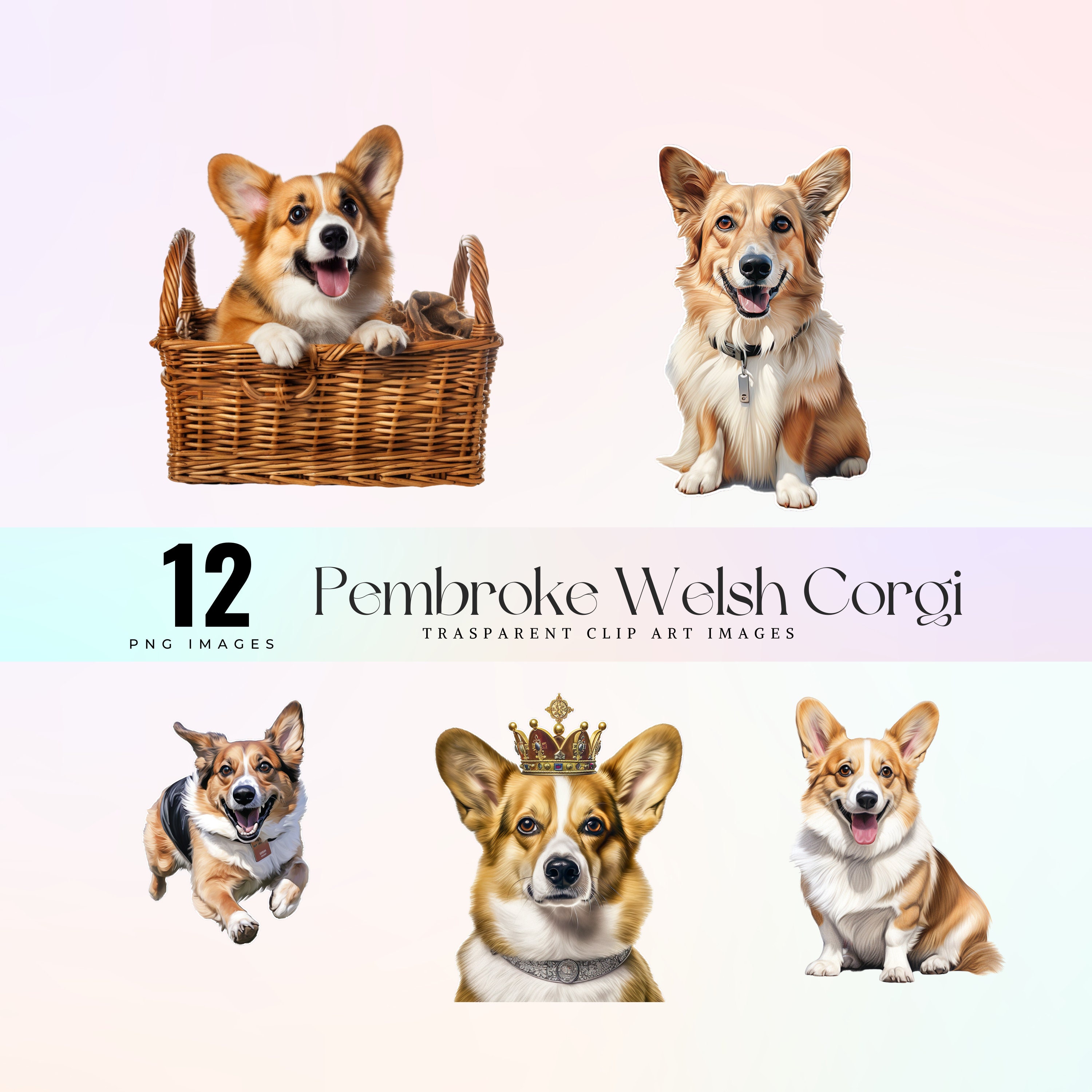 Adorable Corgi Purebred Dog Clip Art, Queen Elisabeth's Dog Illustration PNG, Fluffy Corgi ...