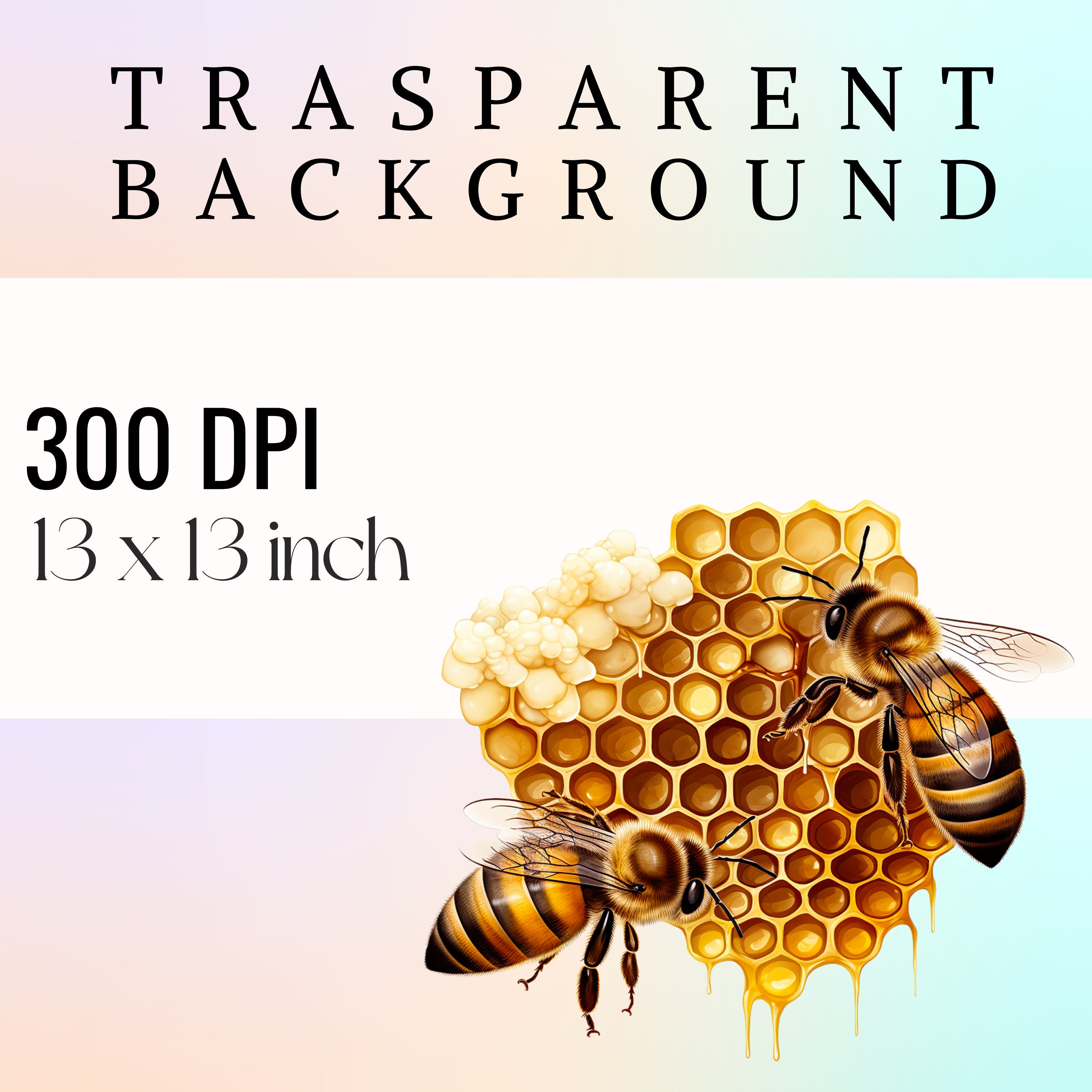 Sweet Honey Bees Clip Art, Watercolor Nectar Buzz Illustration PNG ...