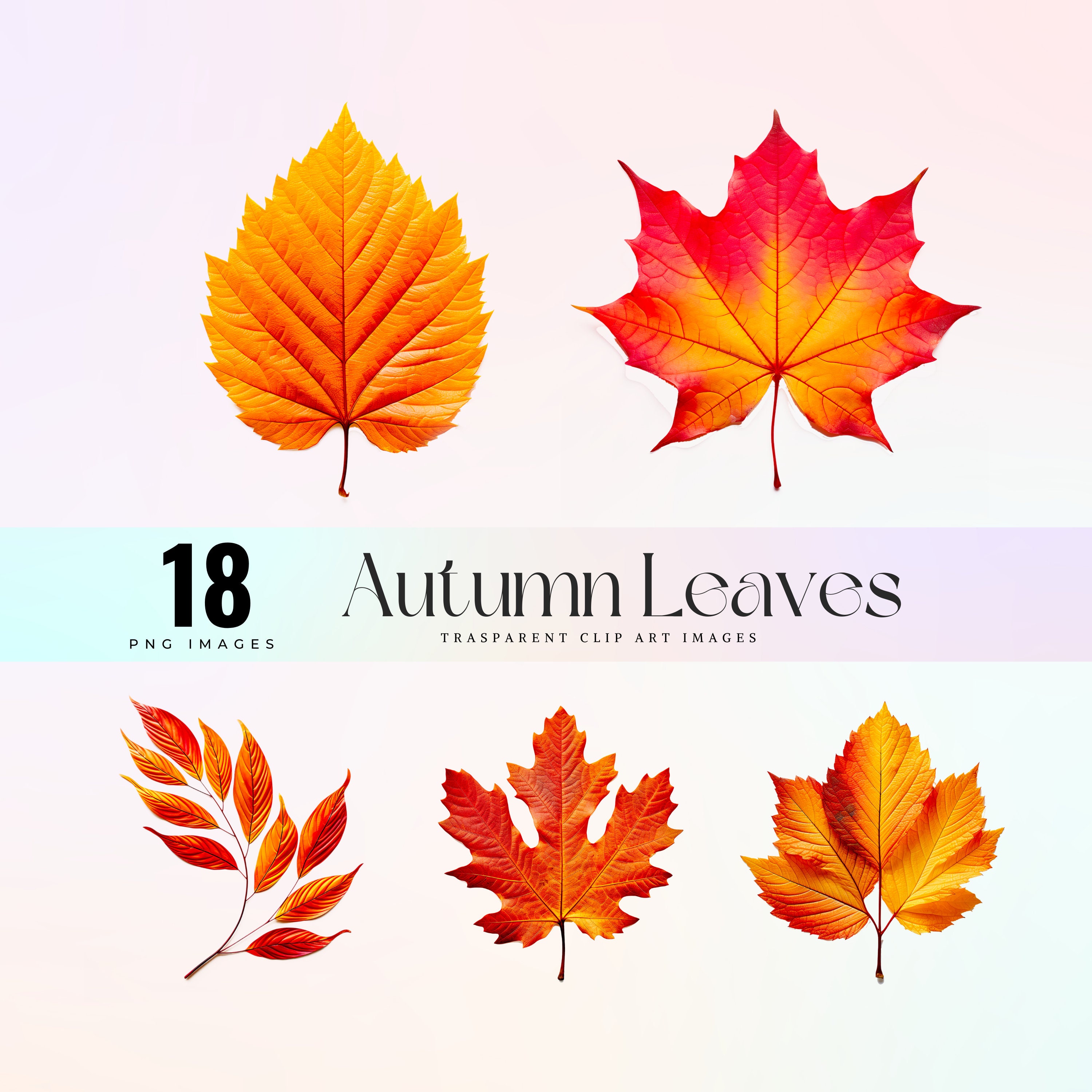 Cute Autumn Leaves Clip Art, Watercolor Orange Fall Illustration PNG ...
