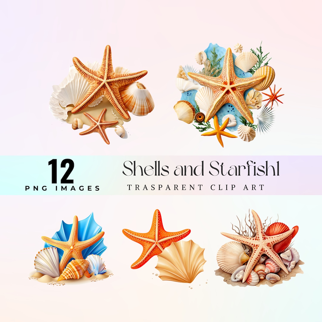 Seashell Starfish Clipart, Shells Illustration Set, Nautical Sea ...
