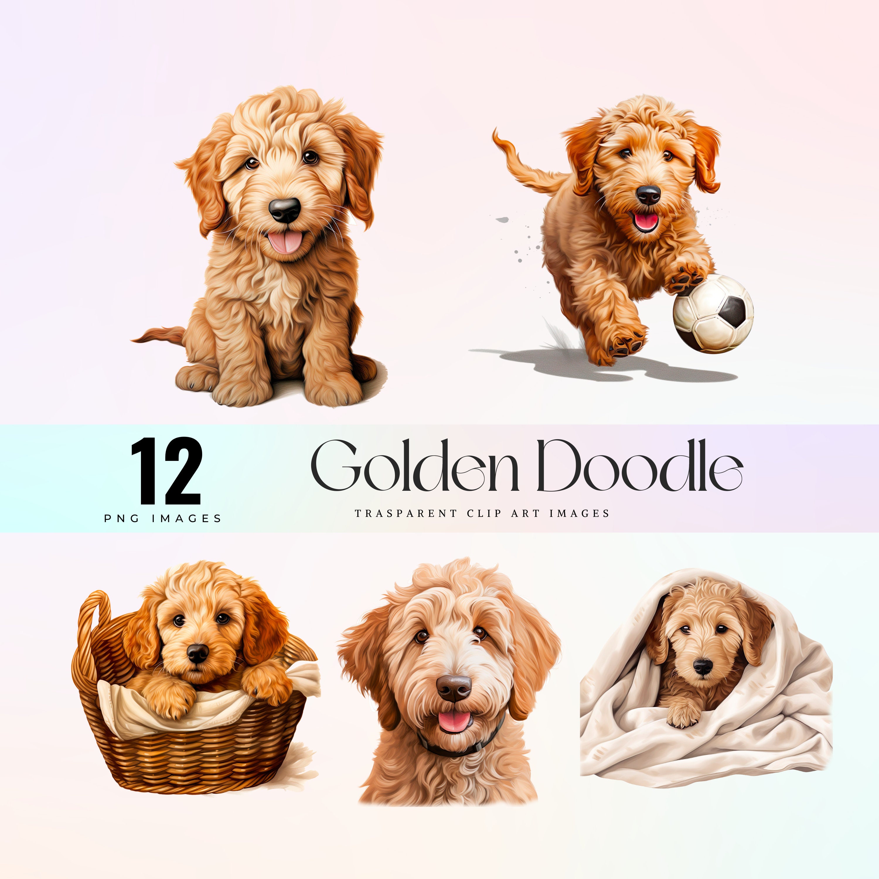 Cute Goldendoodle Clip Art Realistic Painting Doodle Art PNG Images ...