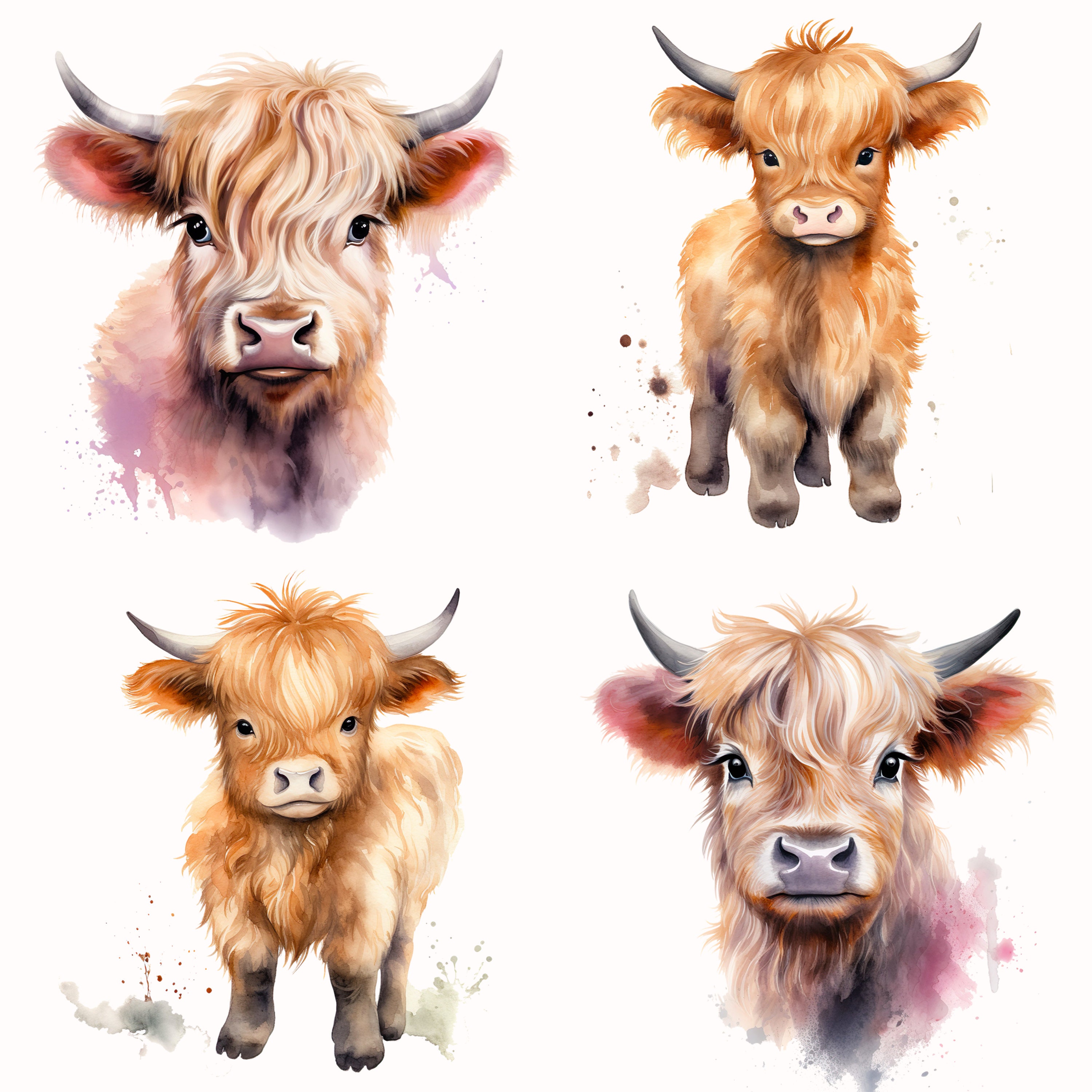 Watercolor Baby Highland Cow Clipart: Scottish Pastures Design (PNG ...