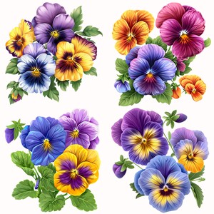 Watercolor Pansy Bouquet Clip Art: Viola Flower PNG (digital Download ...