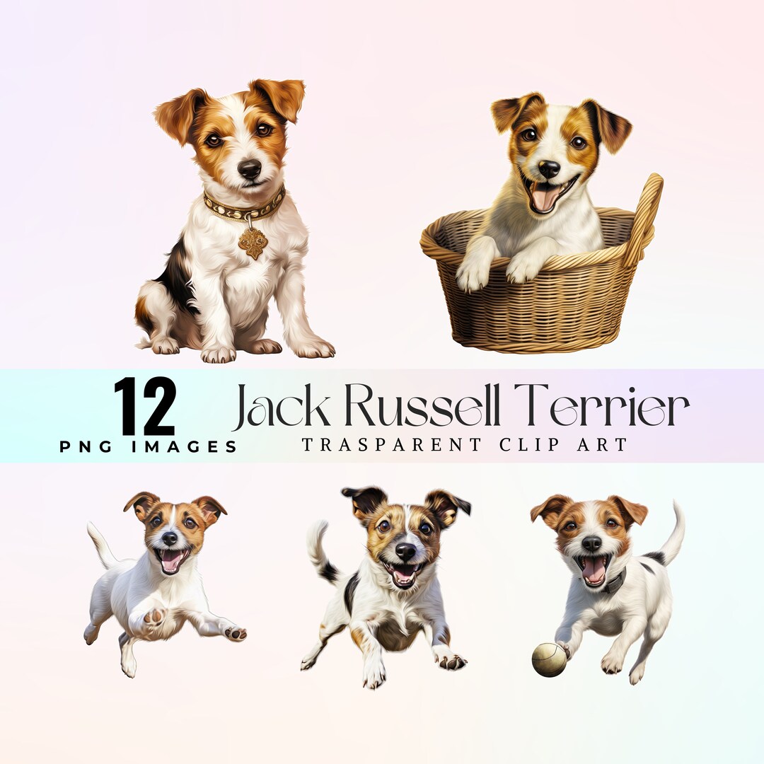 Cute Jack Russell Dog Clip Art, Realistic Funny Terrier Painting Png ...