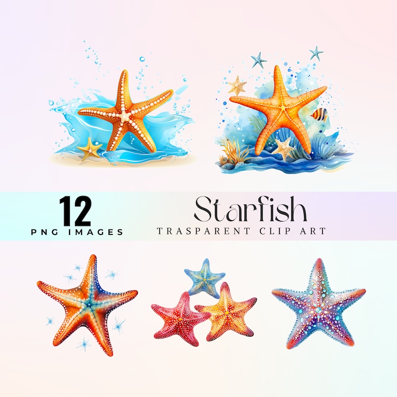 Cute Starfish Clip Art, Watercolor Bright Marine Stars Illustration PNG ...