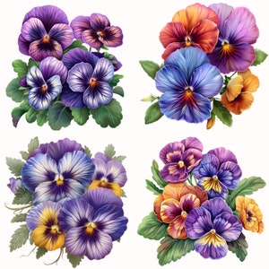 Watercolor Pansy Bouquet Clip Art: Viola Flower PNG (digital Download ...